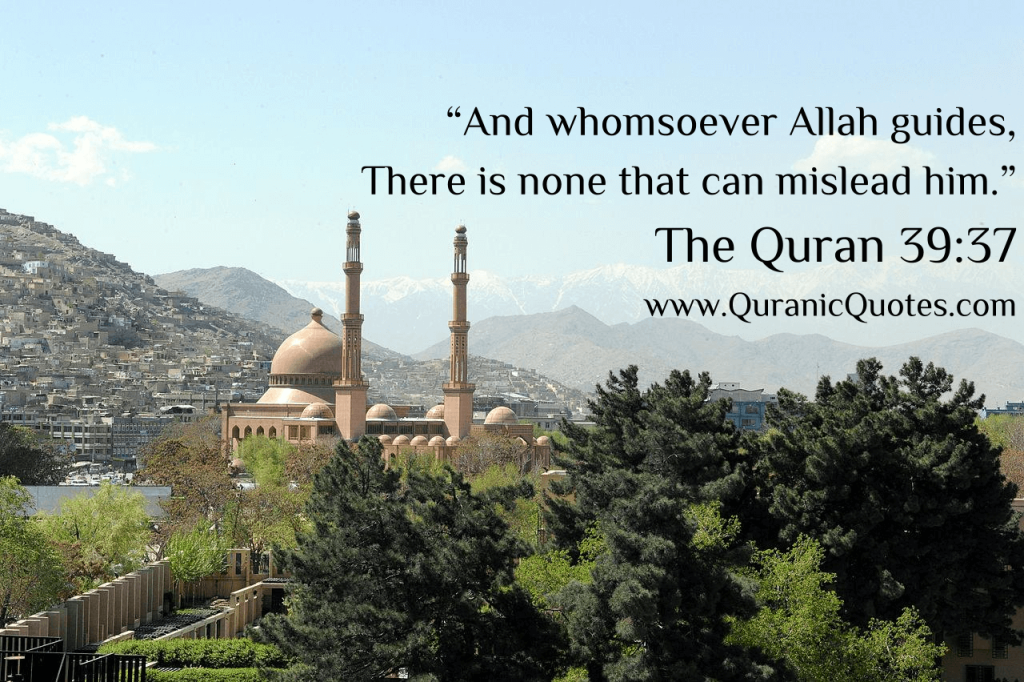 Cómo conectar Access a Visual Basic .NET fácilmente