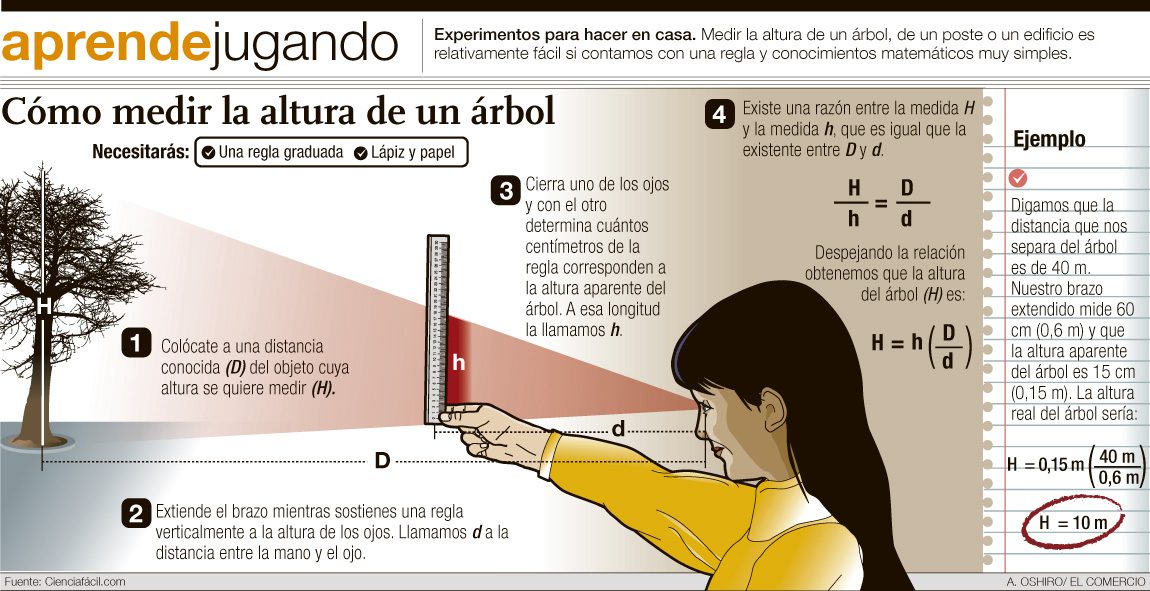 Cómo saber cuánto mido sin necesidad de una cinta métrica
